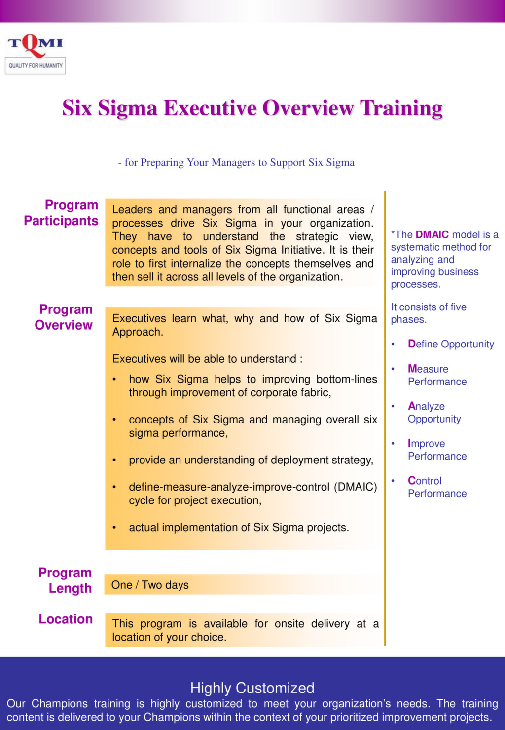 six-sigma-executive-overview-pdf-tqmi
